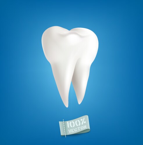 Realistic Tooth Vector Images (over 3,200)