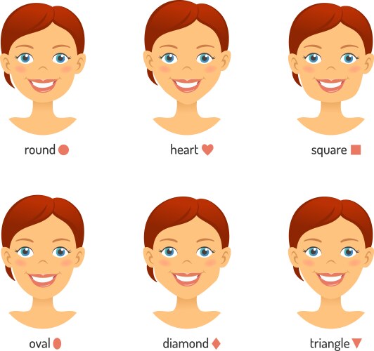 Female Face Shapes and Types Royalty Free Vector Image