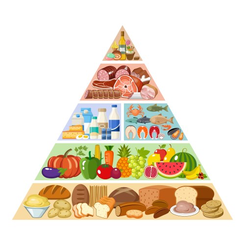 Cartoon Food Plate Vector Images (over 36,000)