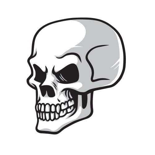 Cartoon Skull Heads Skull, Skeleton Head, Vector Illustration,