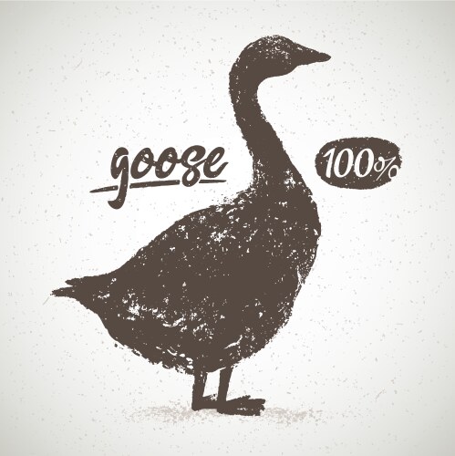 Goose Vector Images (over 22,000)