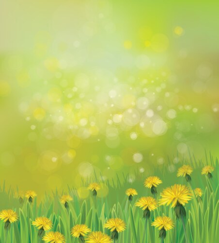 Dandelions spring background Royalty Free Vector Image