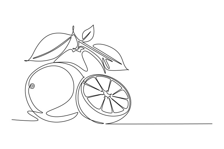 Continuous one line drawing of sliced and whole Vector Image