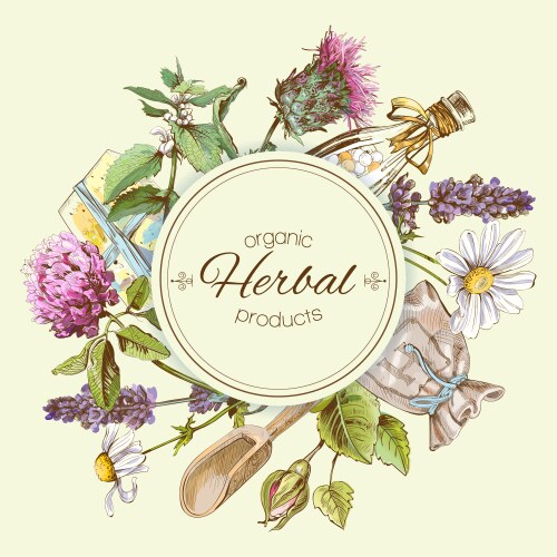 Herbal Medicine Vector Images (over 85,000)