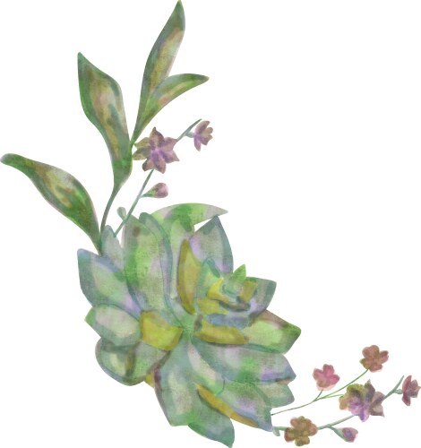 Succulent Vector Images (over 46,000)