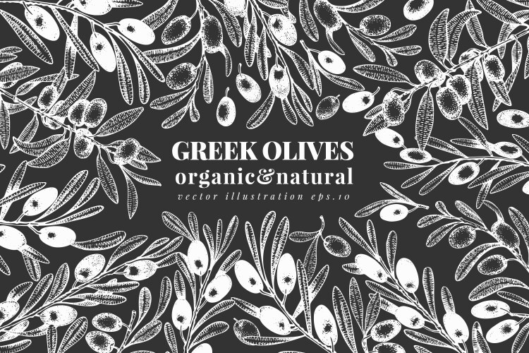 Olive branch design template hand drawn food Vector Image
