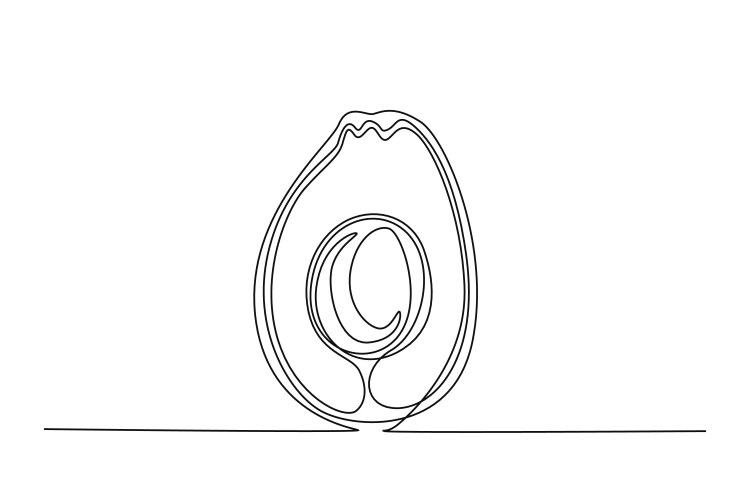 Single continuous line drawing half sliced Vector Image