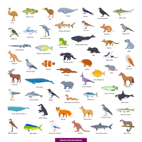 Farm animals height meter Royalty Free Vector Image
