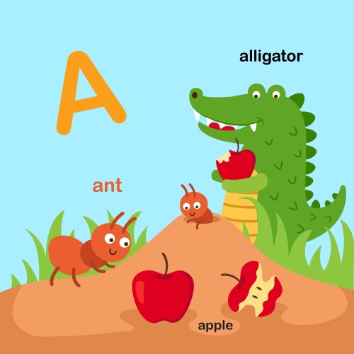 Alphabet letter a-airplane ant alligator Vector Image