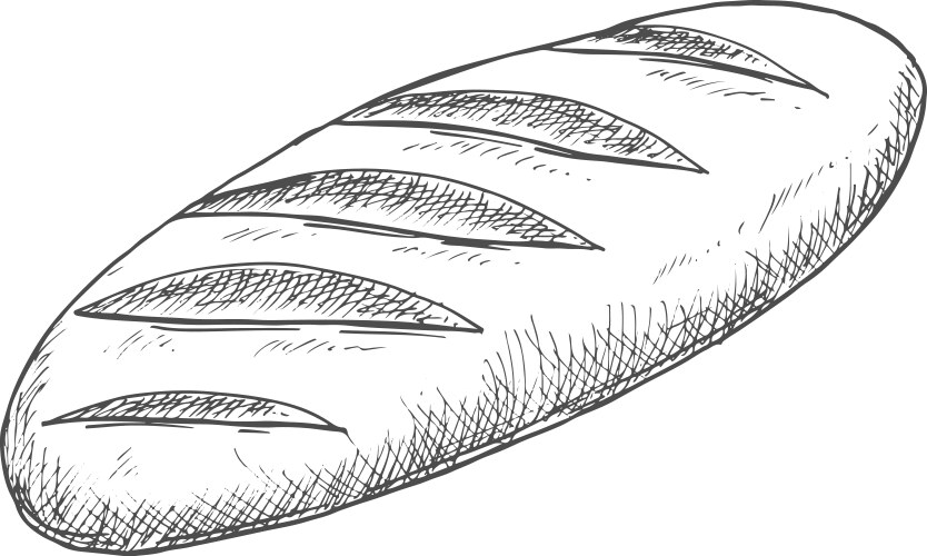 Rustic bread sketch Royalty Free Vector Image - VectorStock