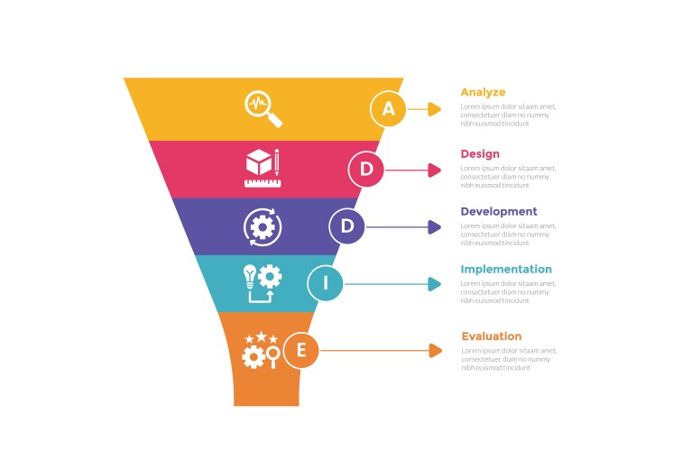 5s model marketing infographics template diagram Vector Image