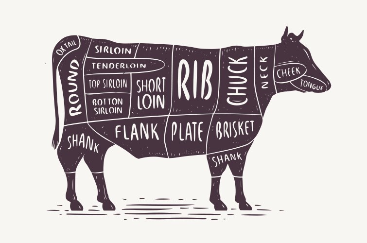 Beef Cut Chart - Butcher Diagram Royalty Free Vector Image