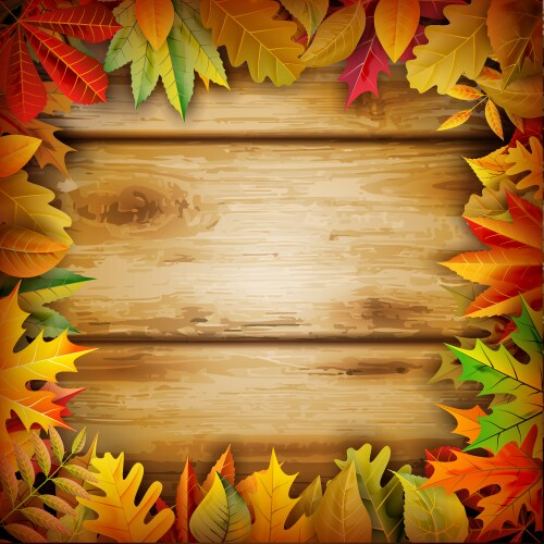 Fall Vector Images (over 520,000)