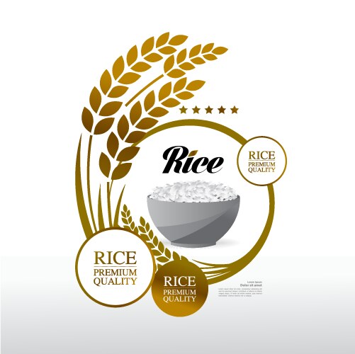Rice Royalty Free Vector Image - VectorStock