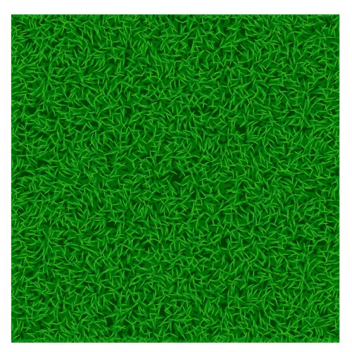 Lawn Royalty Free Vector Image - VectorStock