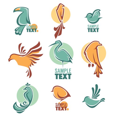 Funny birds Royalty Free Vector Image - VectorStock