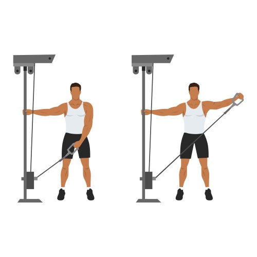 Lateral Vector Images (over 5,100)