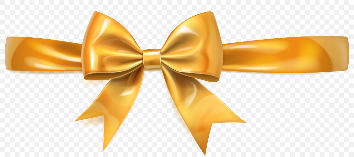 Beautiful big shiny bow with horizontal ribbon Vector Image