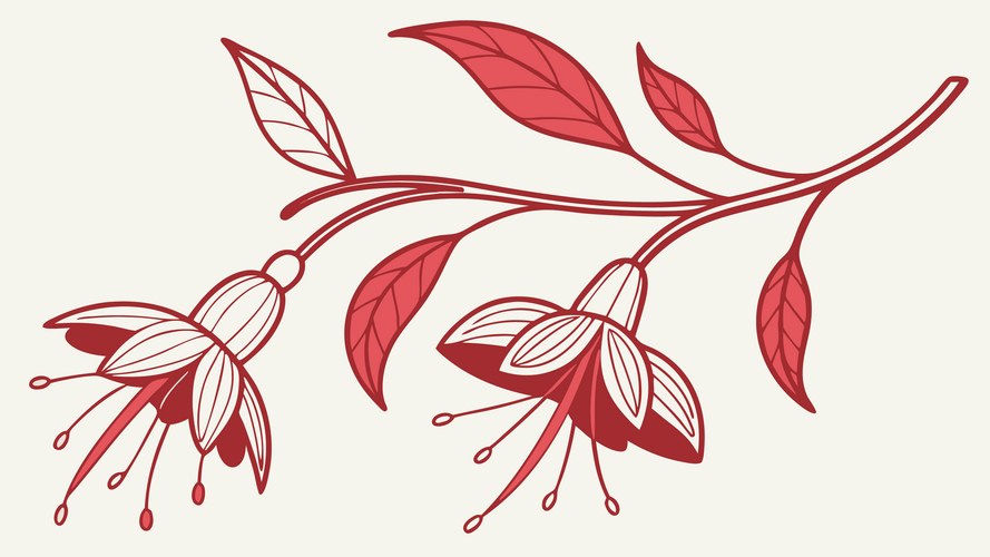 Elegant Saffron Flower Branch Line Art – Royalty-Free Vector | VectorStock