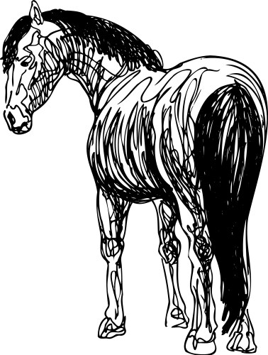 One Line Horse Vector Images (over 1,500)