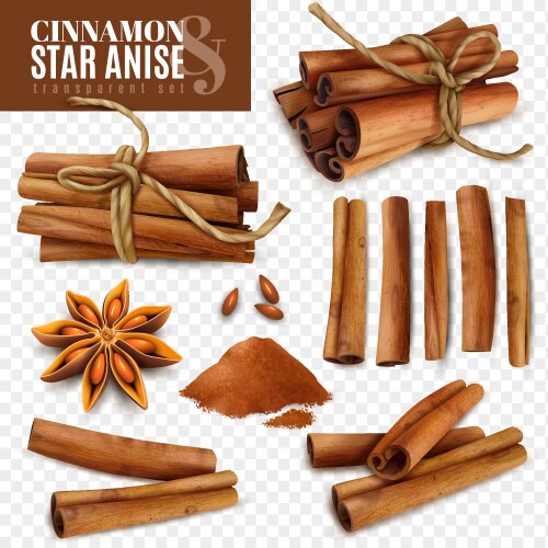 Cinnamon Vector Images (over 21,000)