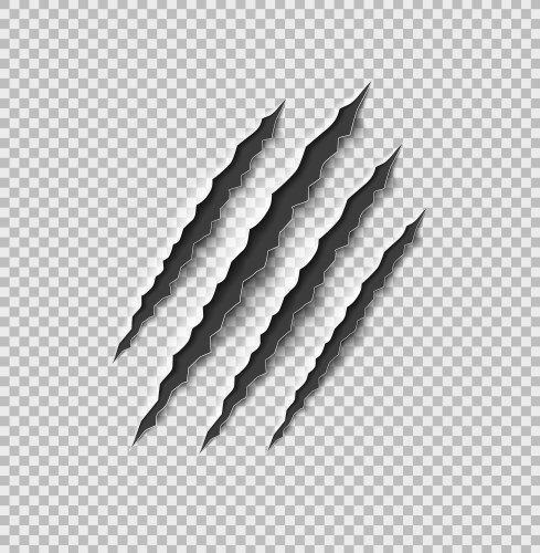 Claw Rip Vector Images (over 1,100)