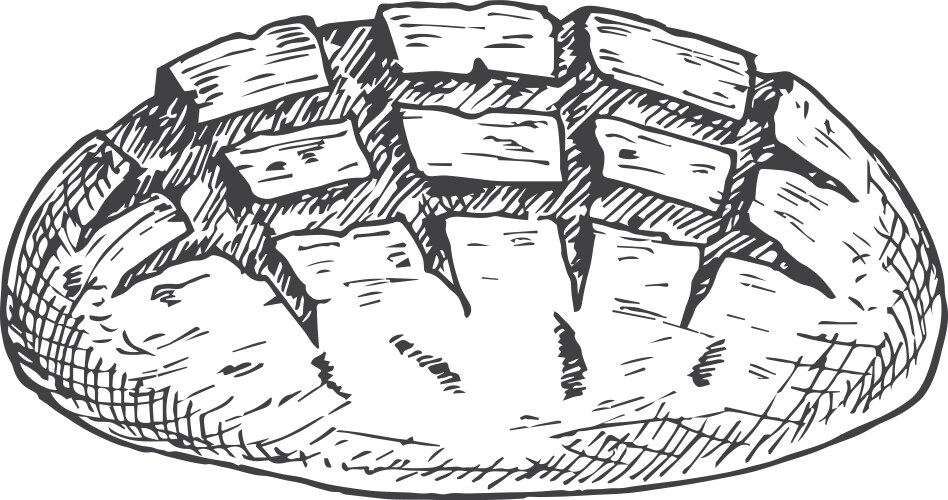 Rustic bread sketch Royalty Free Vector Image - VectorStock