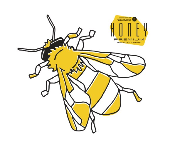 Honey Bee Line Drawing Vector Images (over 4,200)