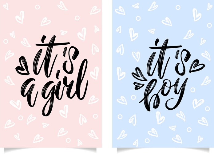 Boy or girl gender reveal colorful greeting card Vector Image