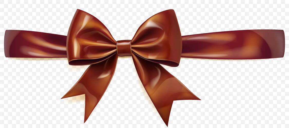Beautiful big shiny bow with horizontal ribbon Vector Image