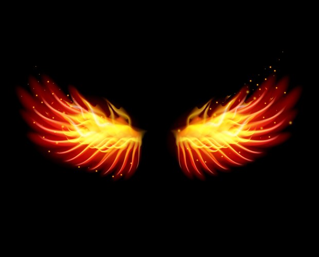 Wings and flame Royalty Free Vector Image - VectorStock