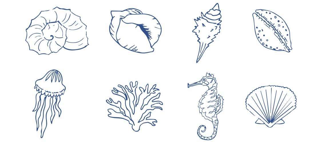 Sea shell sketch ocean life hand drawn Royalty Free Vector