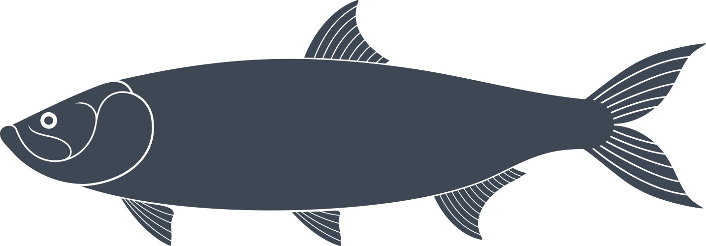 Tarpon Vector Images (over 100)