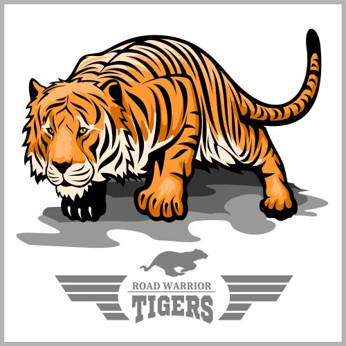 Tiger Back Vector Images (over 290)