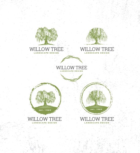 Willow tree Vector Images & Graphics for Commercial Use | VectorStock