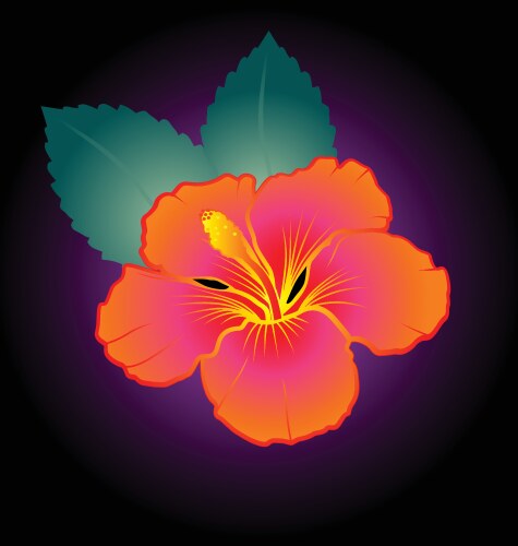 Orange Hibiscus Vector Images (over 3,600)