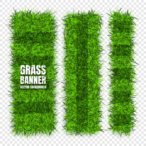 Green grass banners background field meadow Vector Image