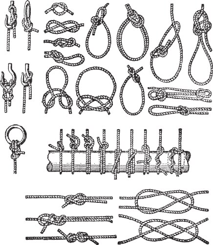 All types of knots demonstrated with strong rope Vector Image