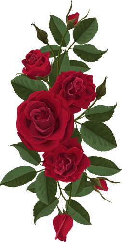 White vertical paper sheet decorated roses Vector Image