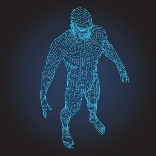 3d wireframe human body Royalty Free Vector Image