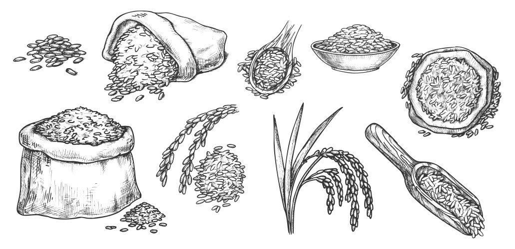 Realistic sack with grains wheat ears Royalty Free Vector