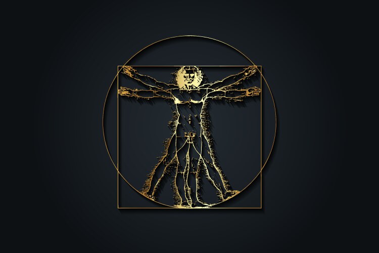Vitruvian Man Wireframe Royalty Free Vector Image