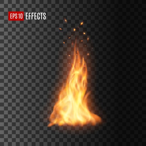 Realistic Fire Vector Images (over 14,000)