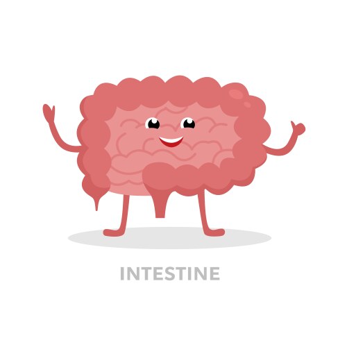 Small Intestine Cartoon Vector Images (over 750)