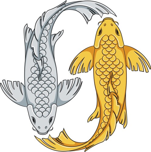 Beautiful gold fish Royalty Free Vector Image - VectorStock