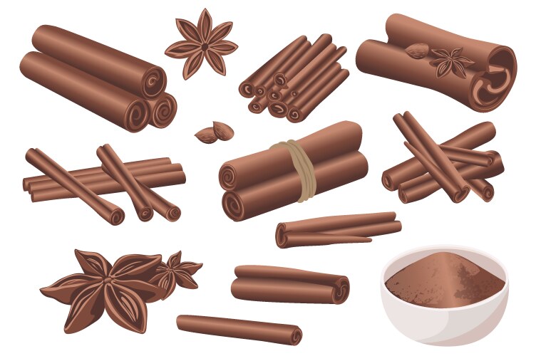 Cinnamon Sticks and Powder – Royalty-Free Vector | VectorStock