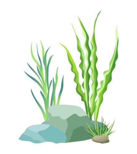 Aquatic Plants Vector Images (over 14,000)