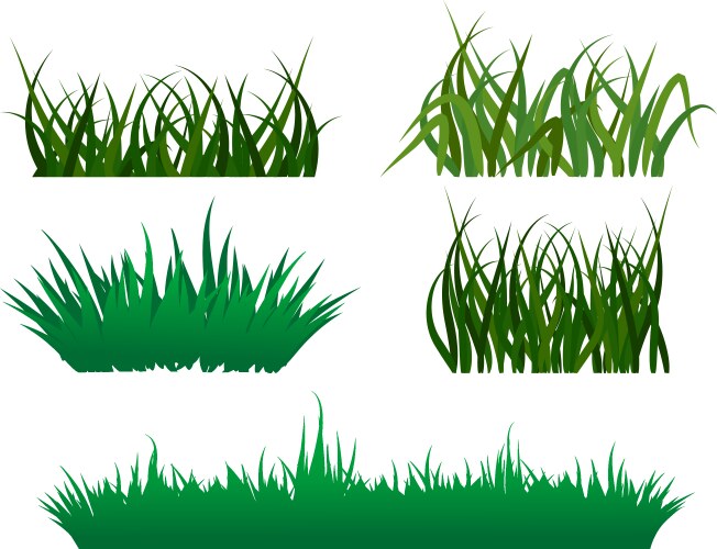 Grass set Royalty Free Vector Image - VectorStock
