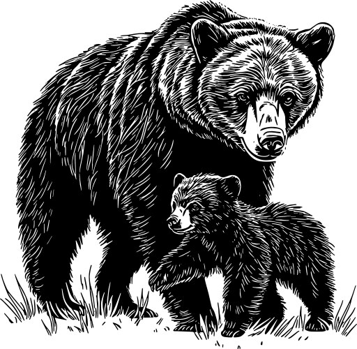 Cub Vector Images (over 27,000)