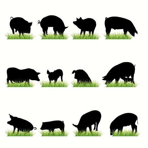 Pigs Vector Images (over 99,000)